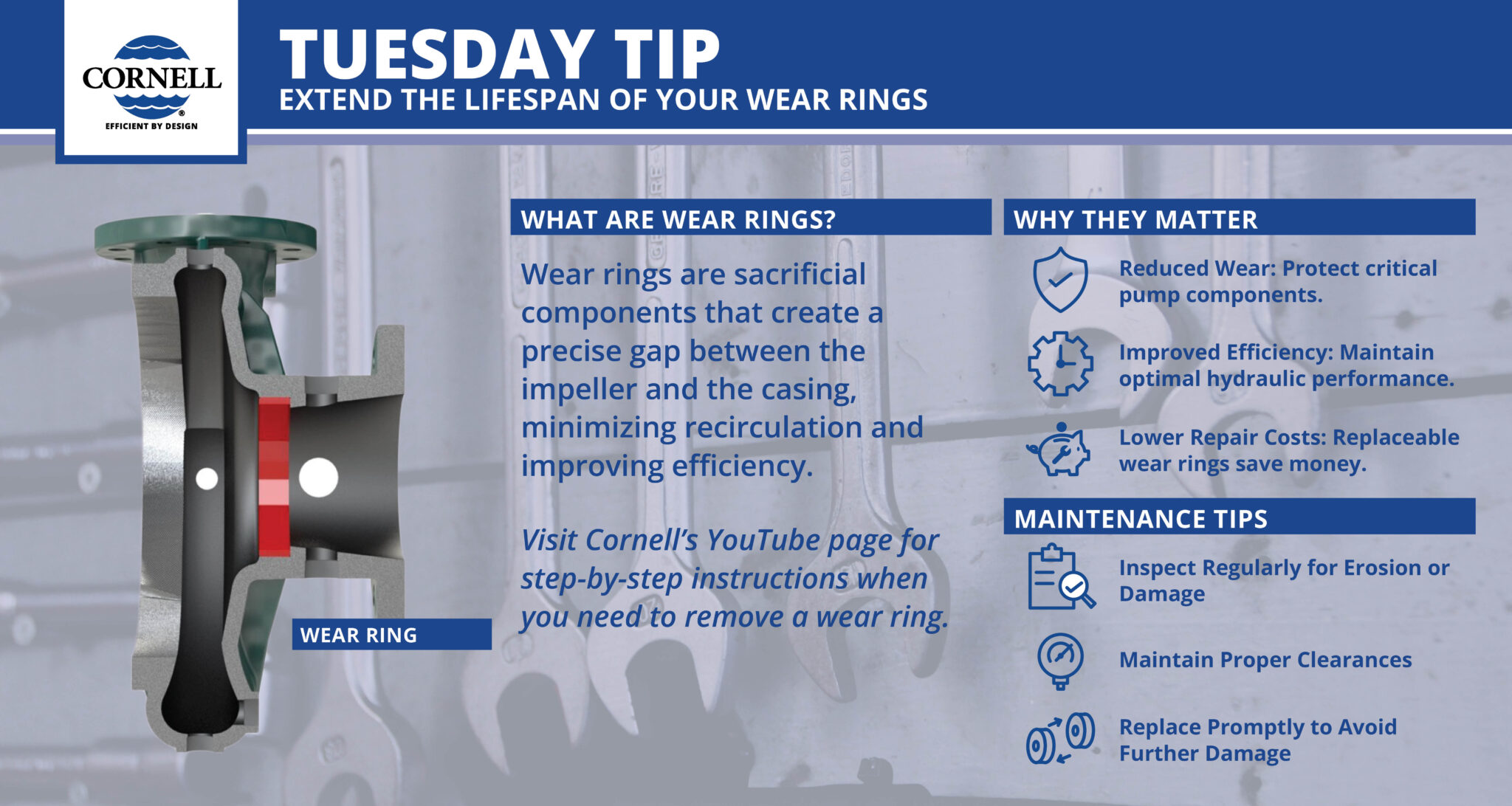Extend the Lifespan of Your Wear Rings: How This Small Component Makes ...