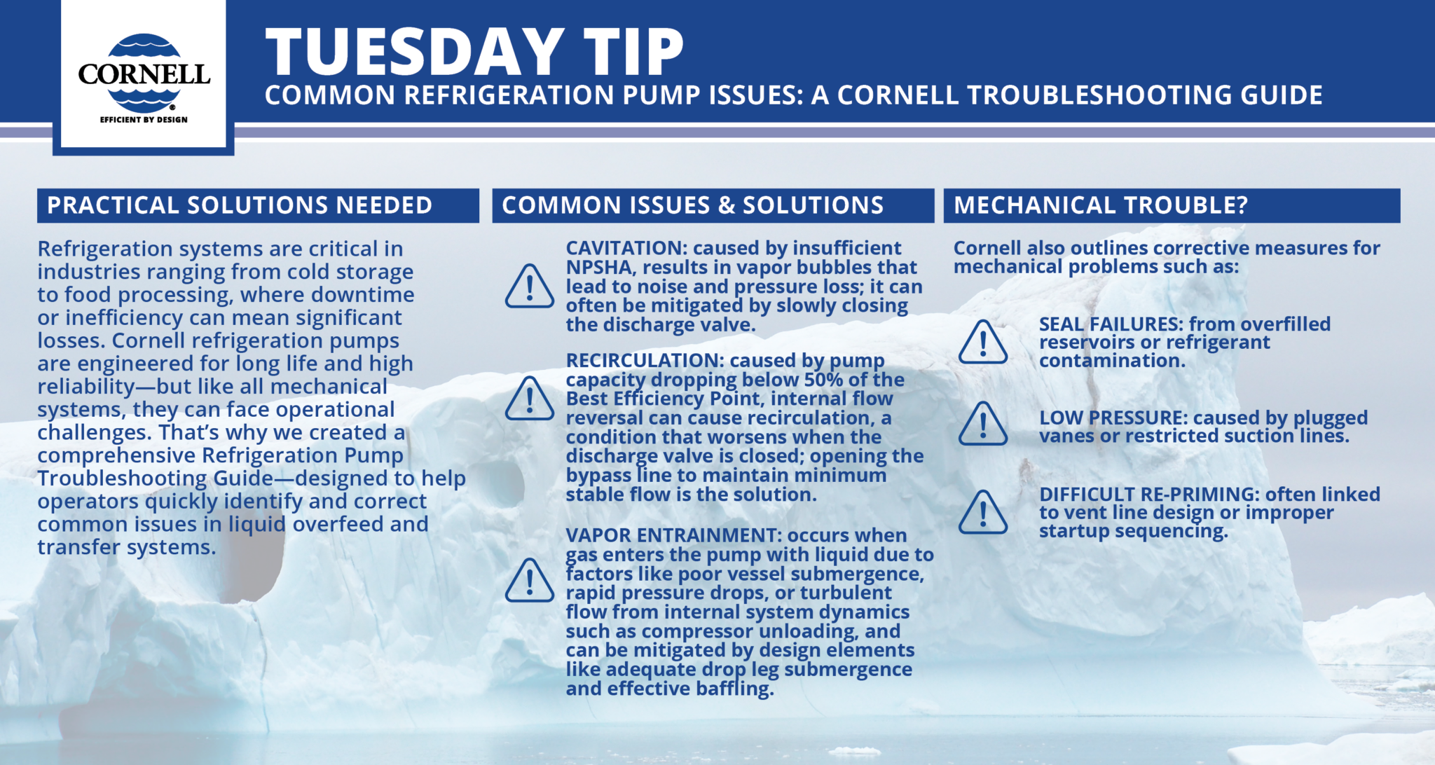 Solving the Most Common Refrigeration Pump Issues: A Cornell ...