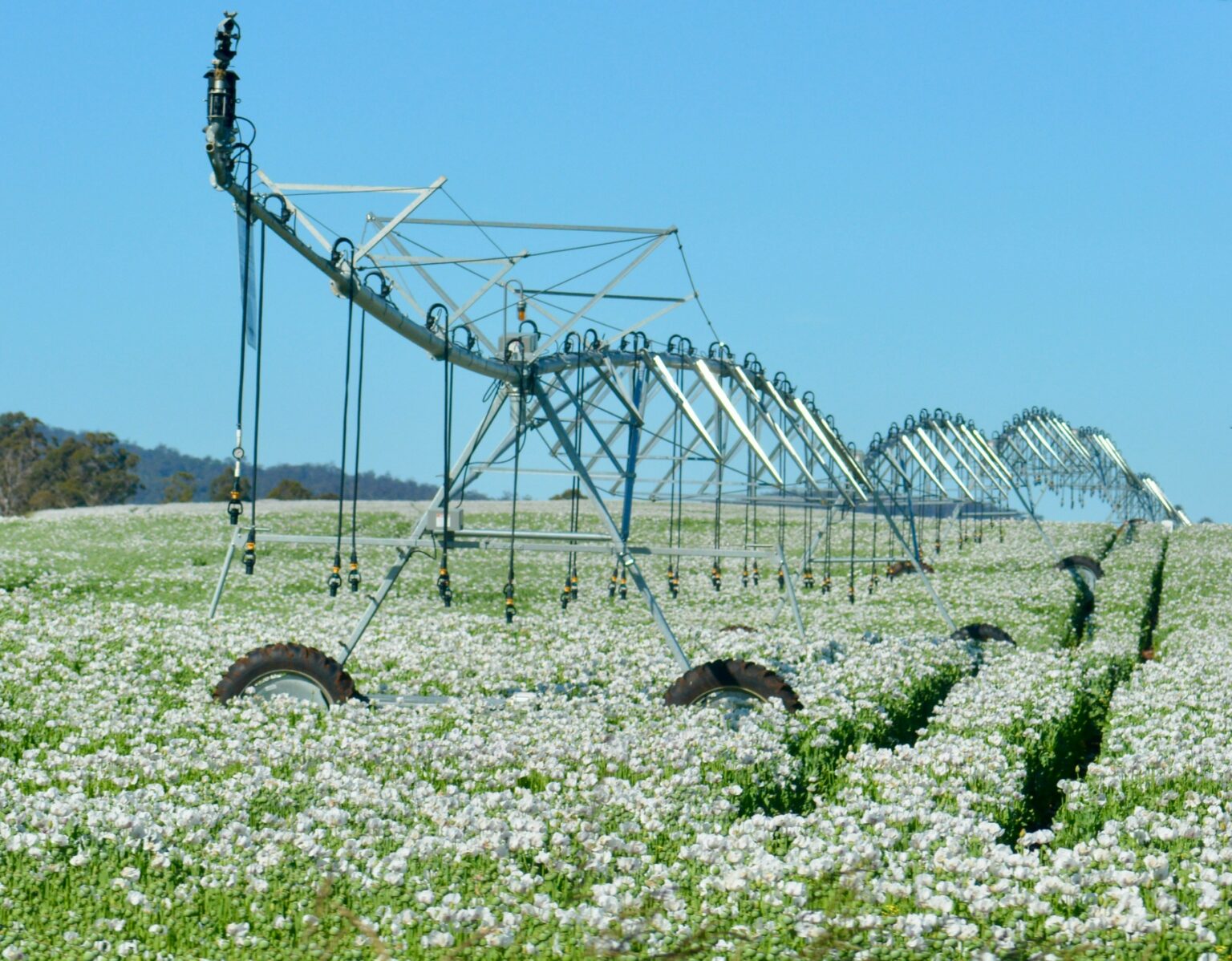 Cornell Pump Company – Centrifugal Pumps for Agricultural, Municipal ...
